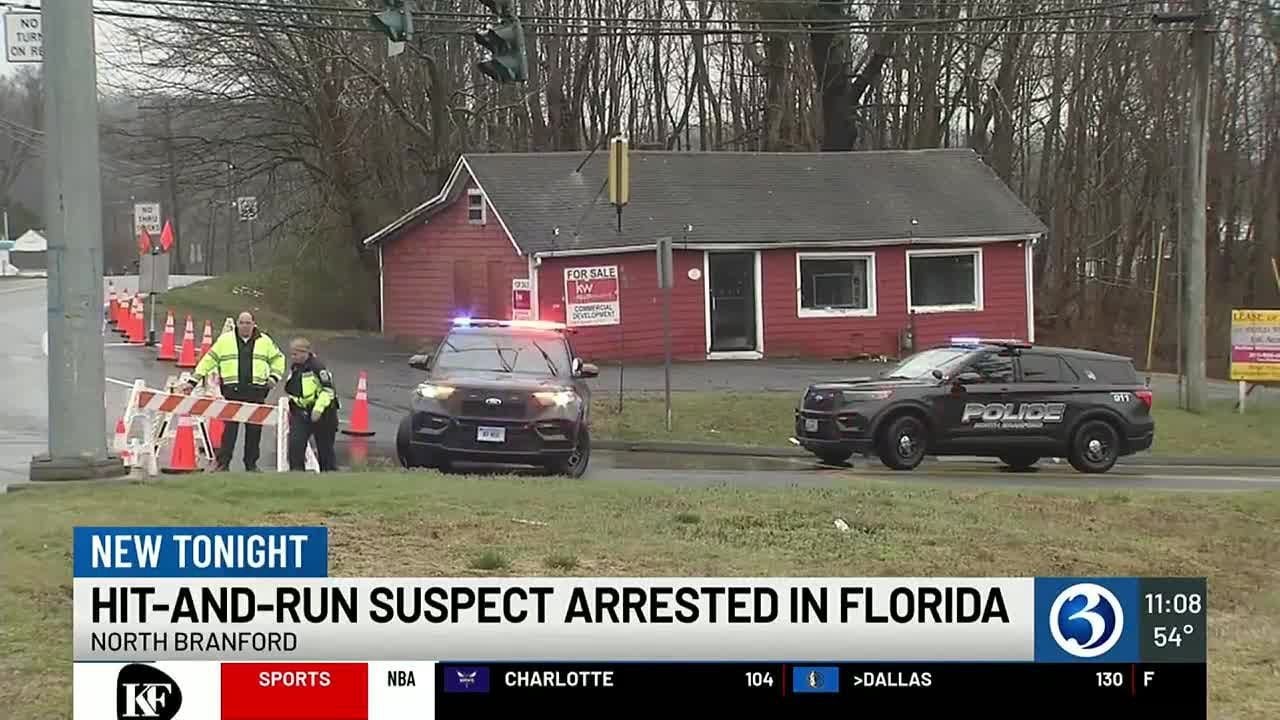 Hit-and-run suspect arrested in Florida - YouTube