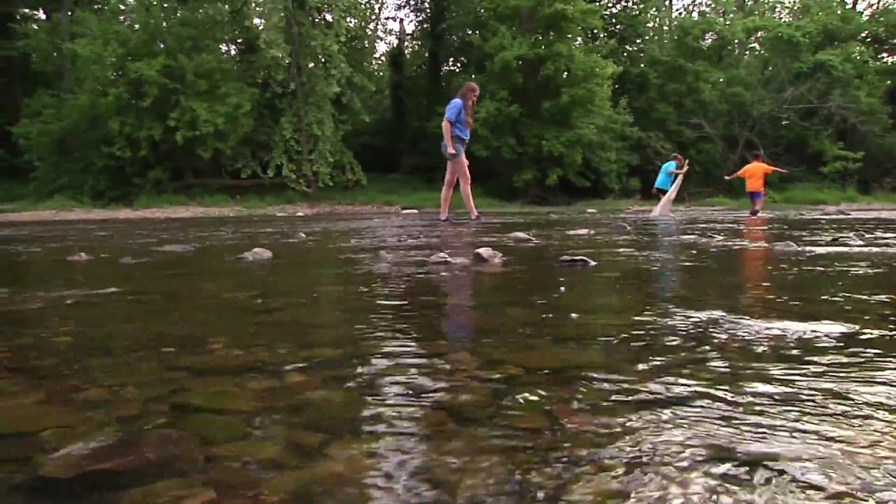 Monitoring the Health of Ohio's Streams - YouTube