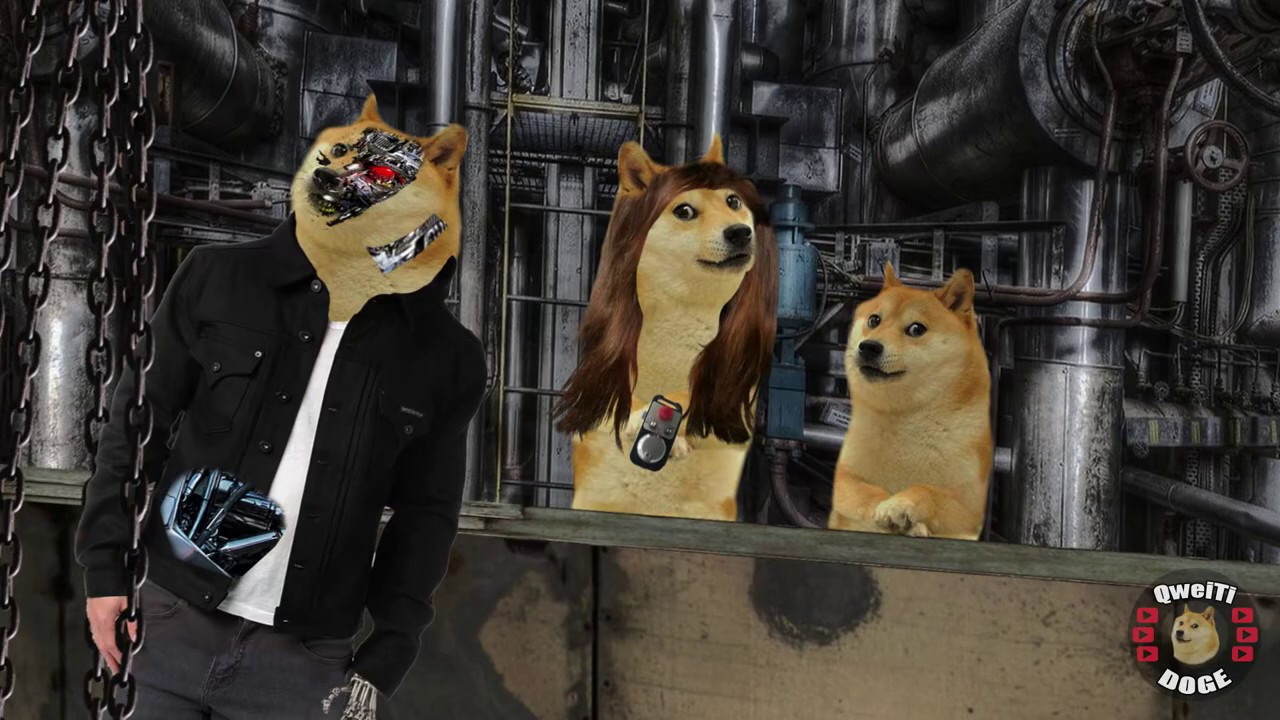 Doge Terminator - YouTube