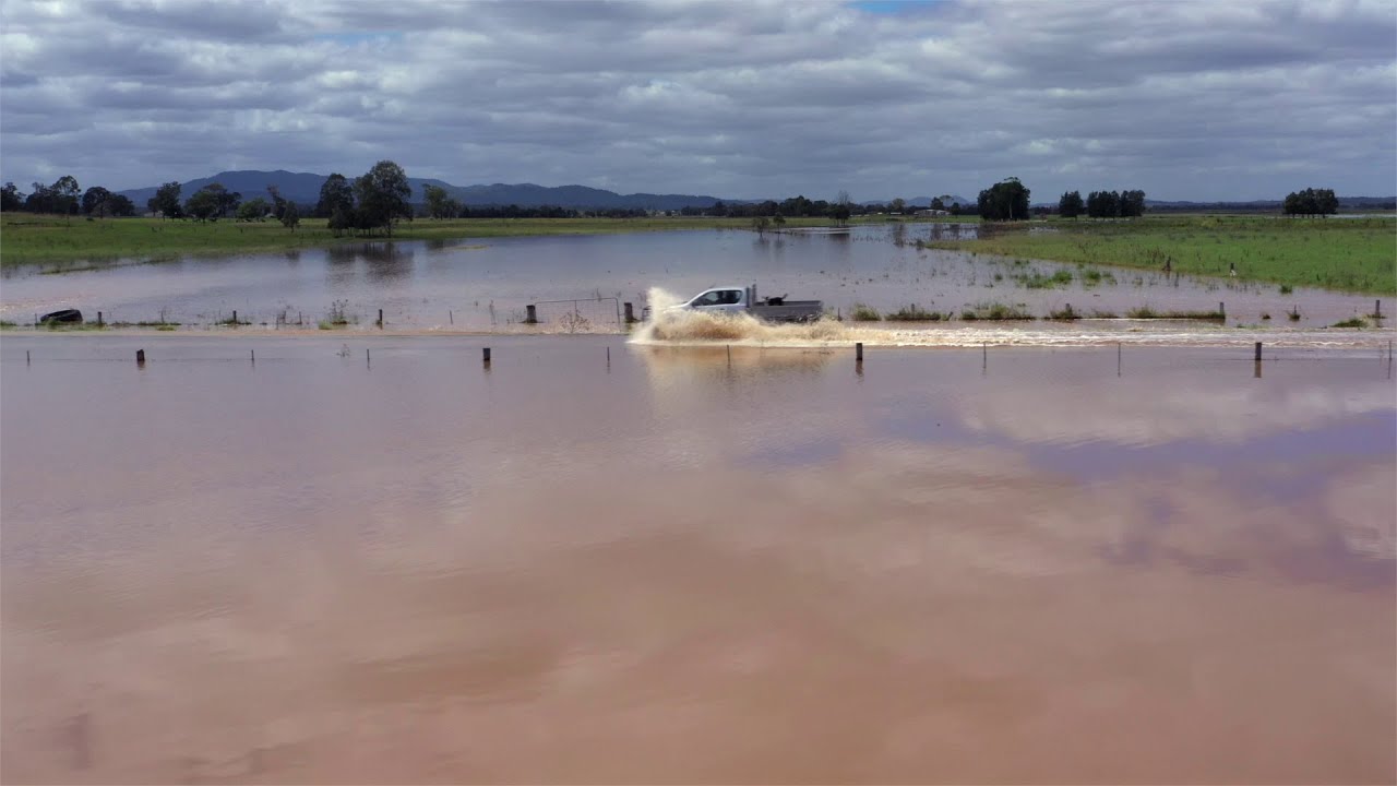 Identifying biosecurity risks associated with wet weather events - YouTube