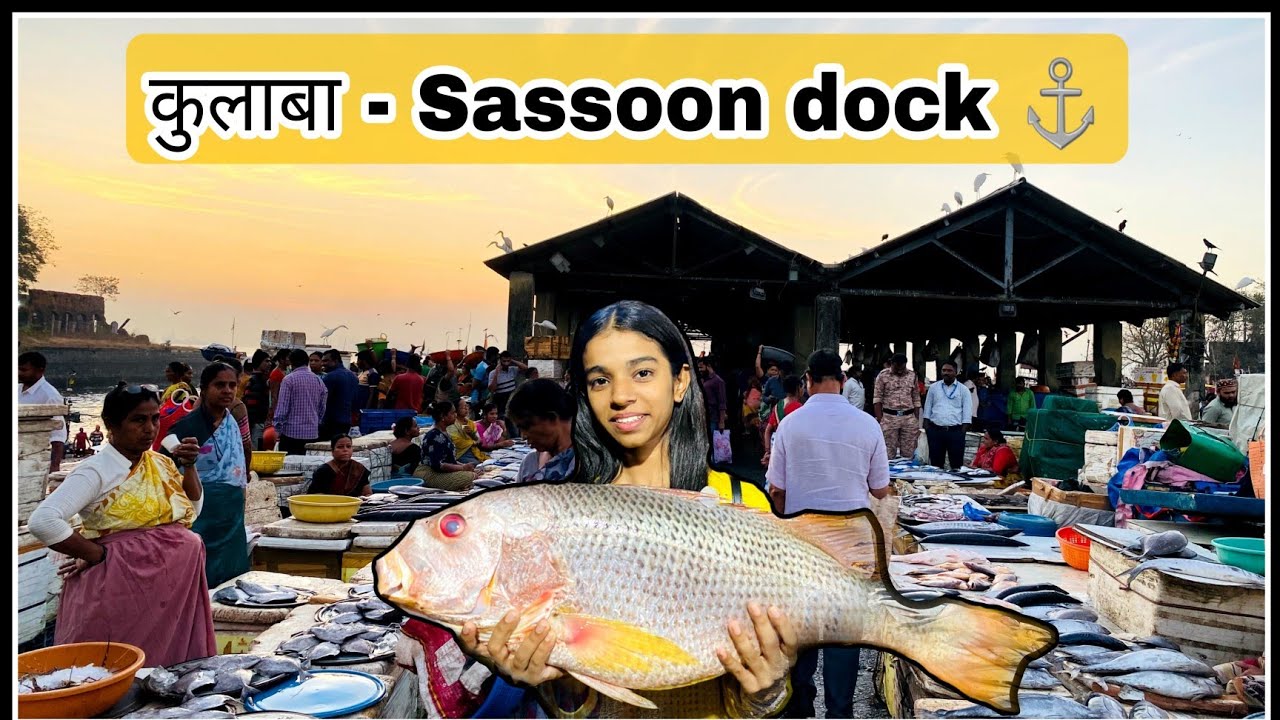 कुलाबा ससून डॉक फिश मार्केट | Sassoon dock fish market @Rachikoli - YouTube