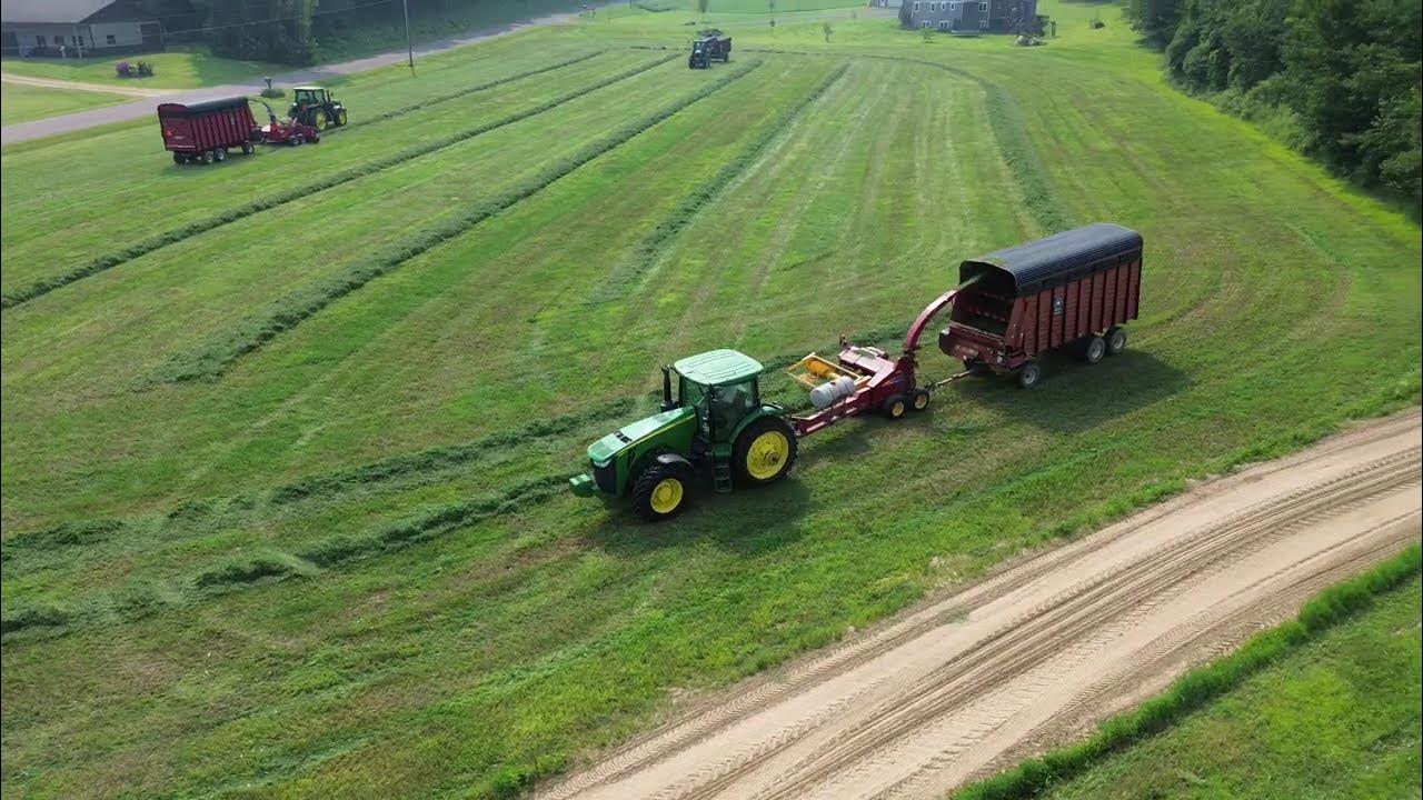 Merging & Chopping Alfalfa - Clark Ridge Farm - 2025 - YouTube