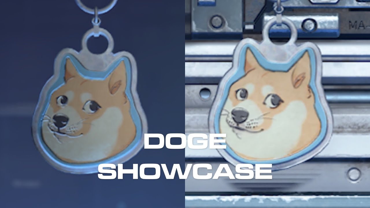 DOGE (WEAPON CHARM) - IN GAME SHOWCASE - HALO INFINITE STORE - YouTube