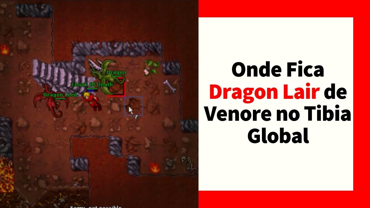 Onde Fica Dragon Lair em Venore no Tibia Global - YouTube