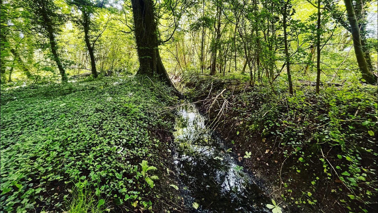 A hike and a bite - YouTube