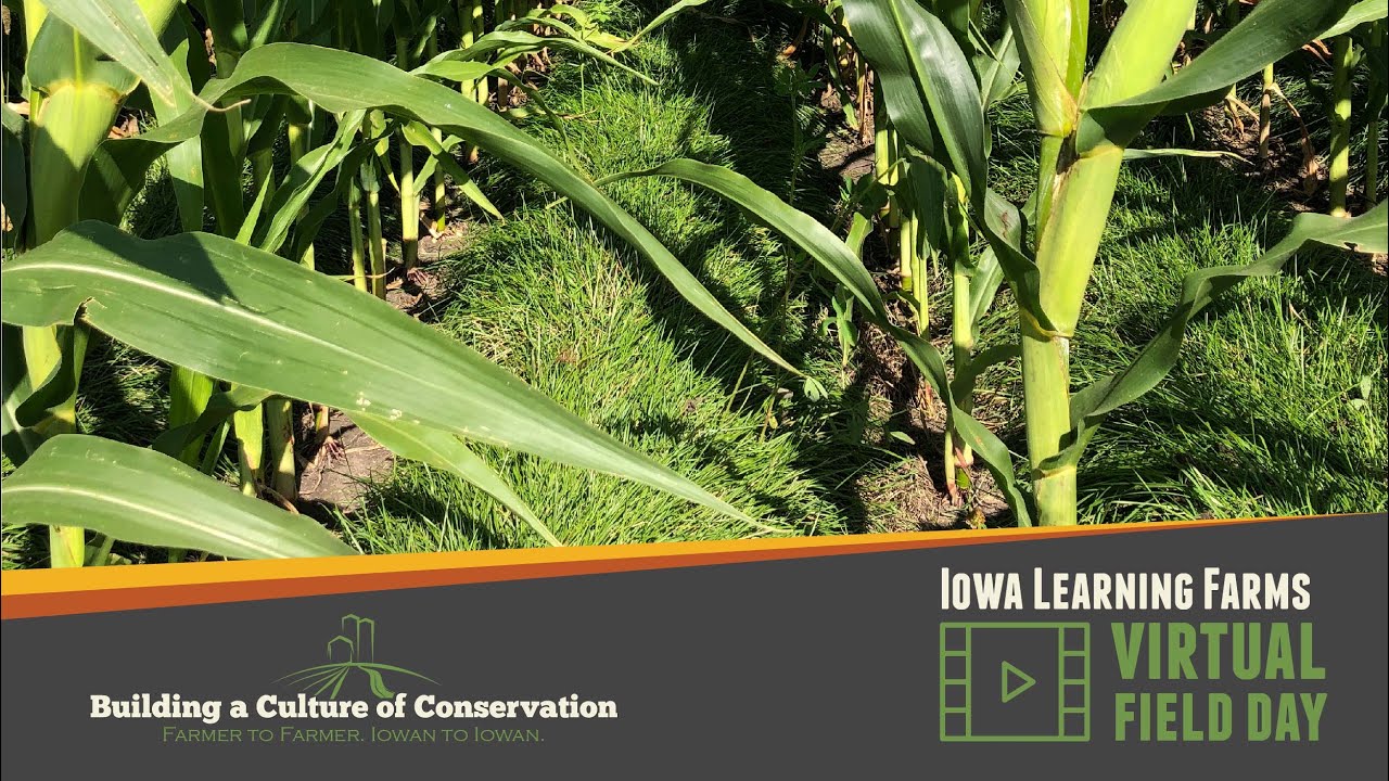March 21, 2024 Iowa Learning Farms Virtual Field Day: RegenPGC - YouTube