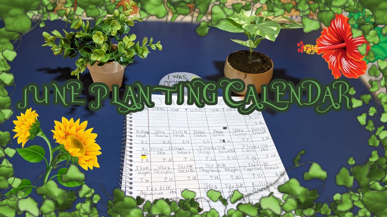 Printable Planting Calendar