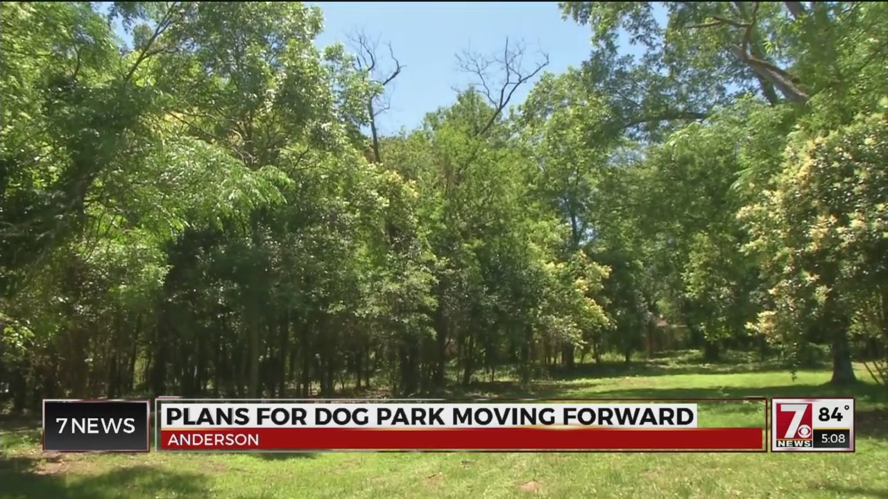 Anderson Dog Park - YouTube