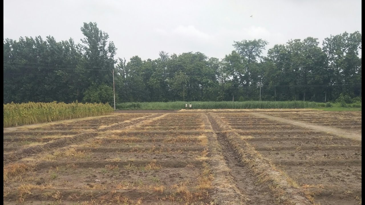 Crop Residue Decay in Field - YouTube