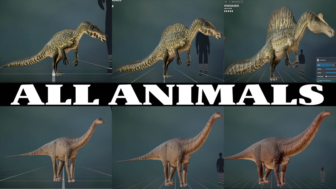 All Growth Stages of New Creatures – Prehistoric Kingdom - YouTube