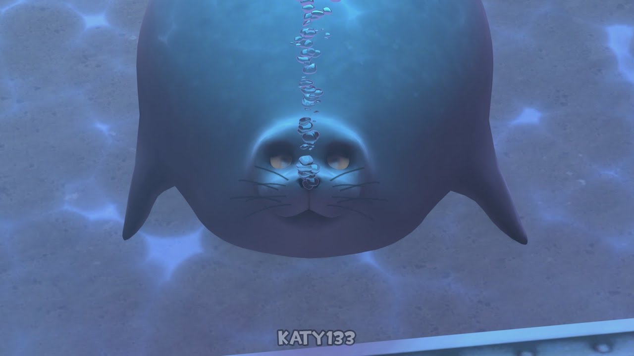 Silvia the Seal Swims Up to the Glass [TF2 Blender] - YouTube