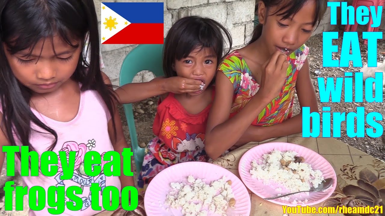 These Poor Hungry Filipino Children Eat Wild Birds from the Wild. Deep ...