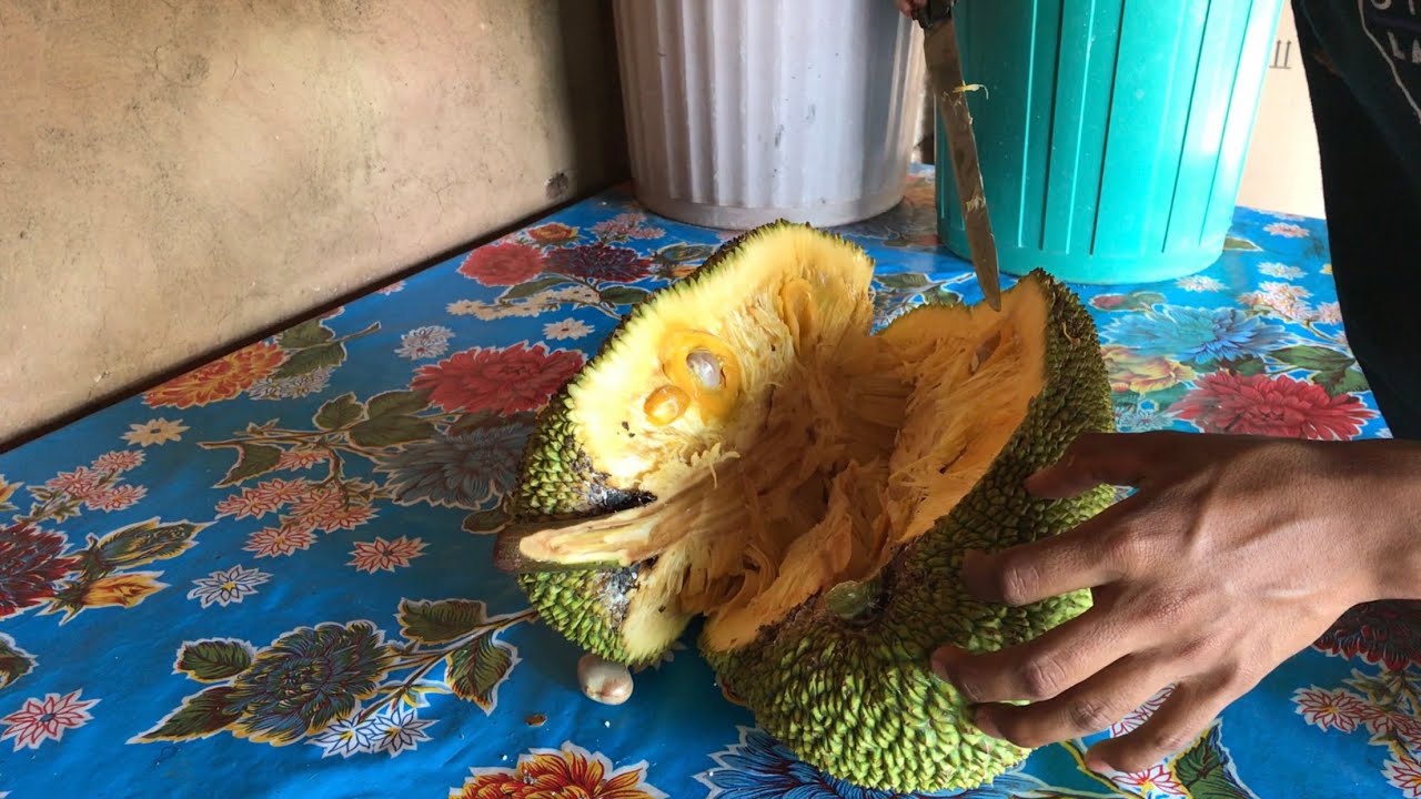 Es conocida como la fruta de los mil sabores !!😋LA YAKA . - YouTube