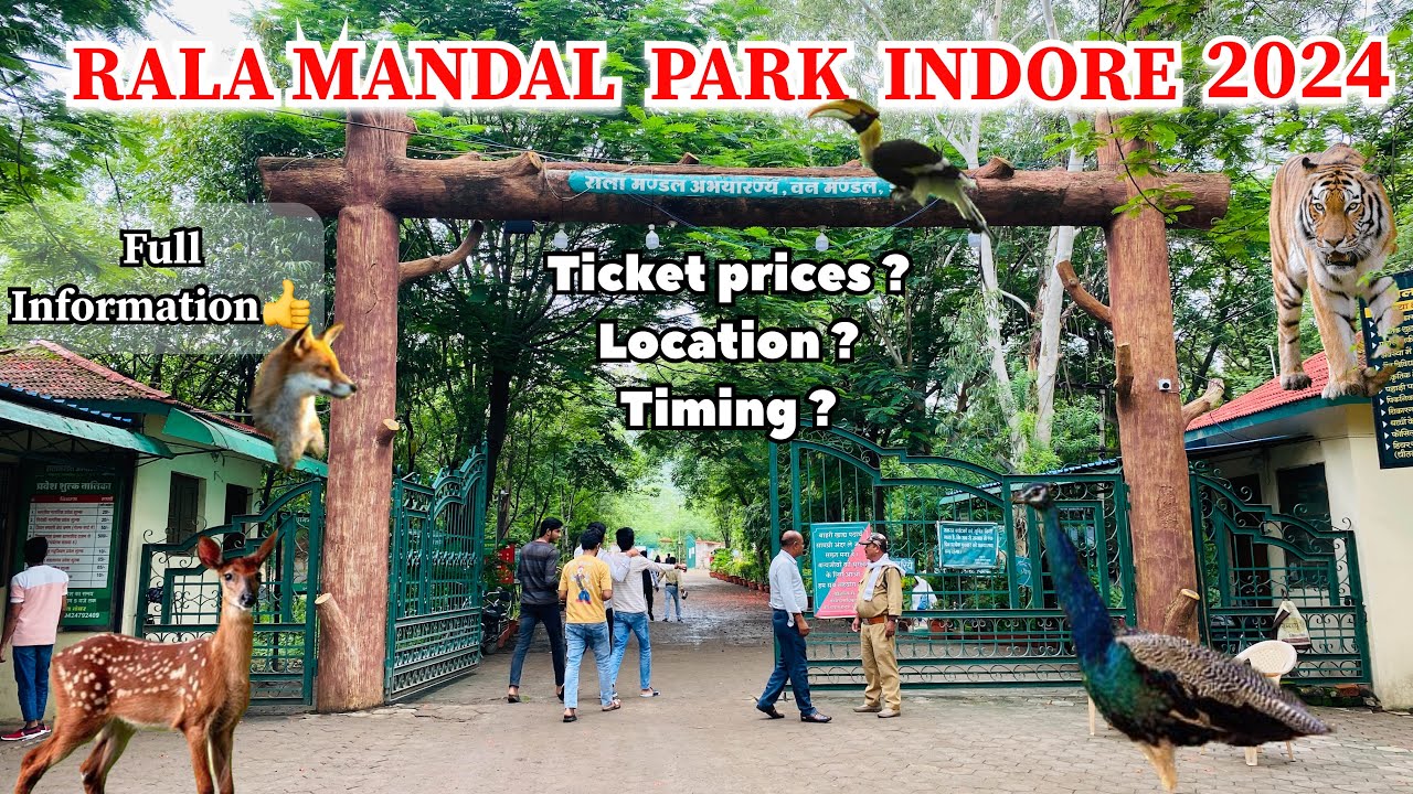 Rala Mandal Indore | Indore Rala Mandal Wildlife sanctuary🦁🦌| Picnic ...
