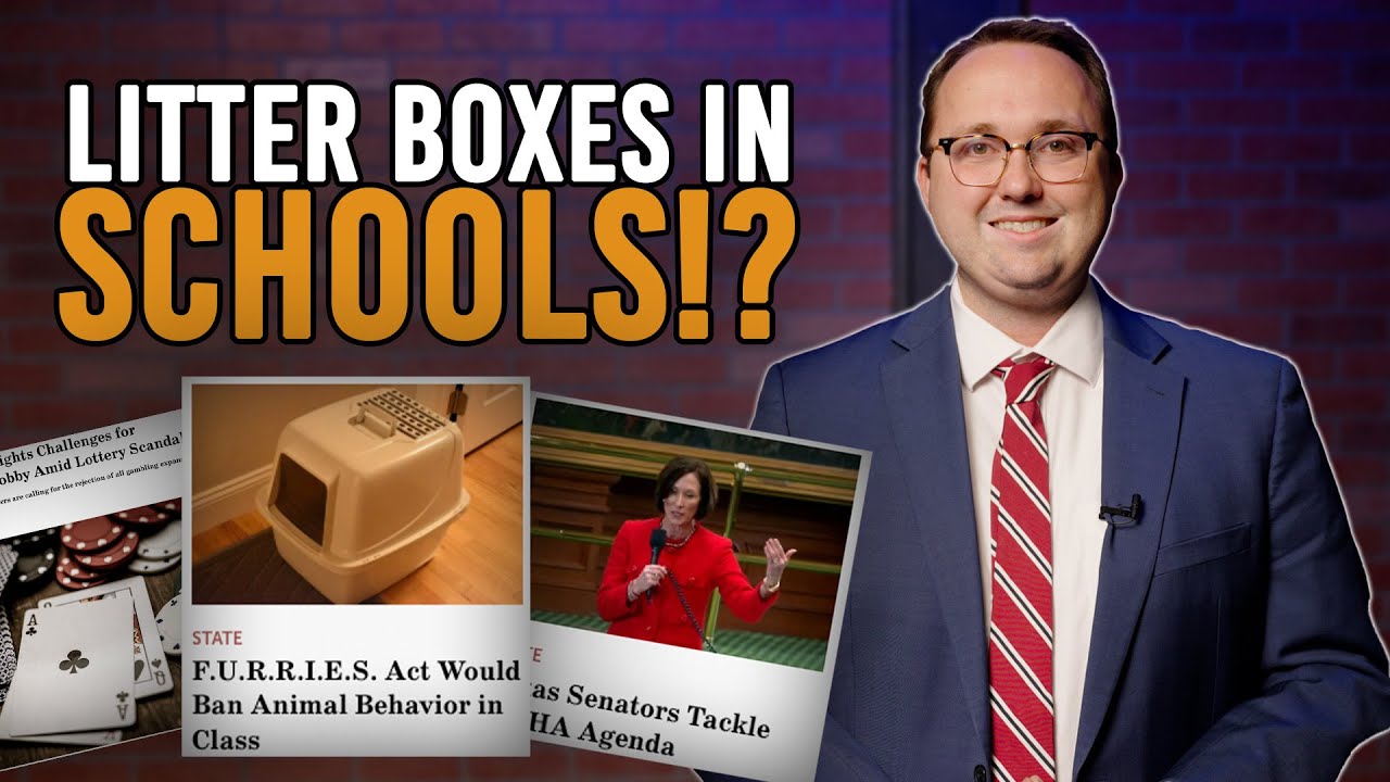 Litter Boxes in Schools?? - YouTube