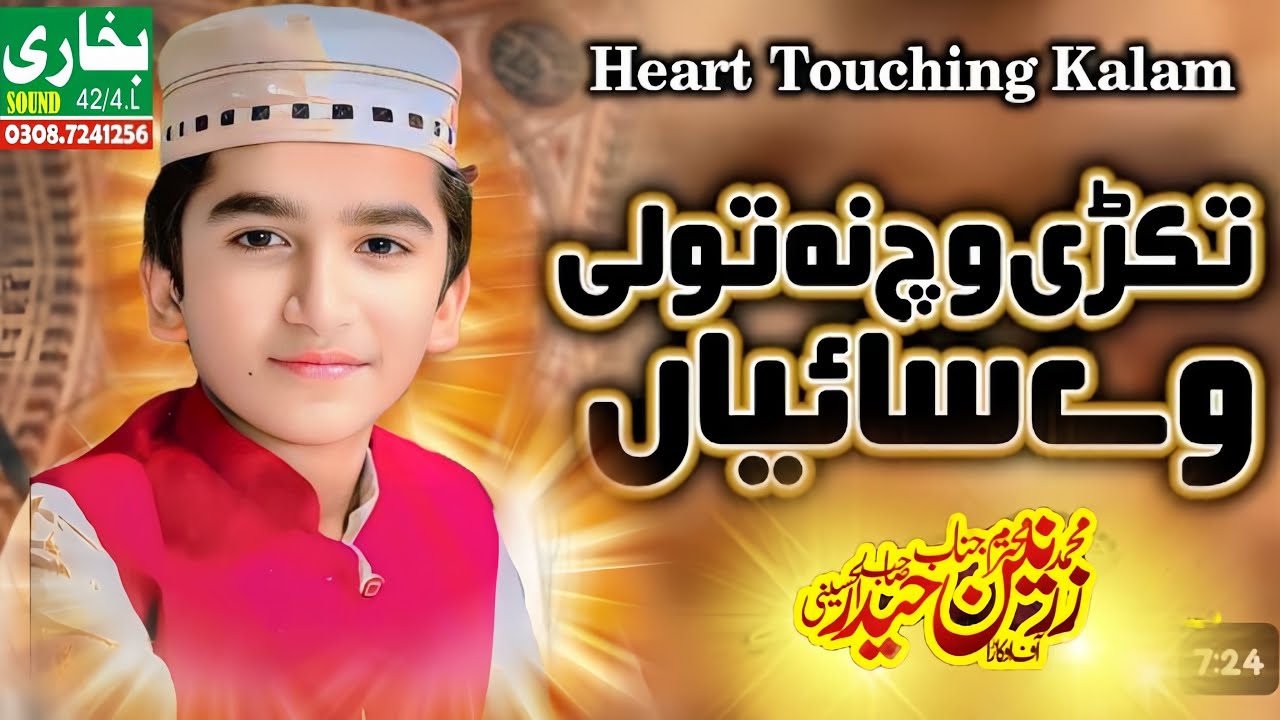 Takri Vich Na Toli Saiyan || Heart Touching kalam || By Zarnain Haider Allhussaini || Like 👍 ...