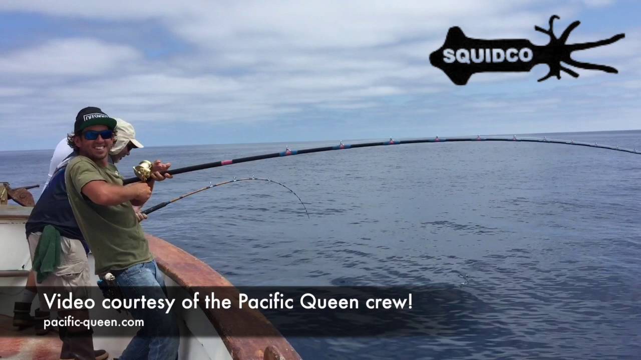 CUI Blanks AVAILABLE NOW! - YouTube