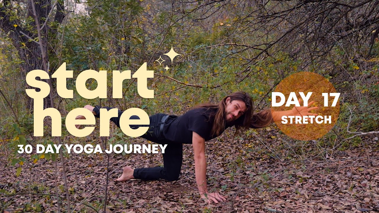 Day 17 - Stretch | START HERE - 30 Day Yoga Journey - YouTube