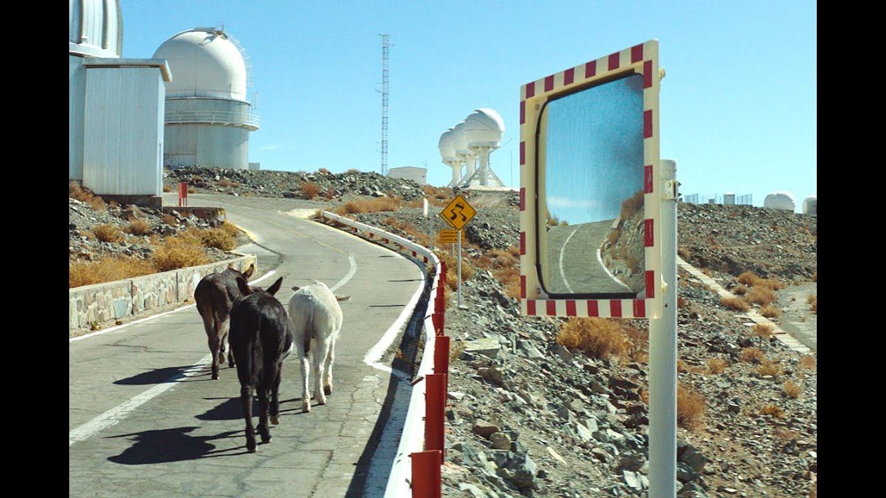 2025 SBIFF Trailer - PERFECTLY A STRANGENESS - YouTube