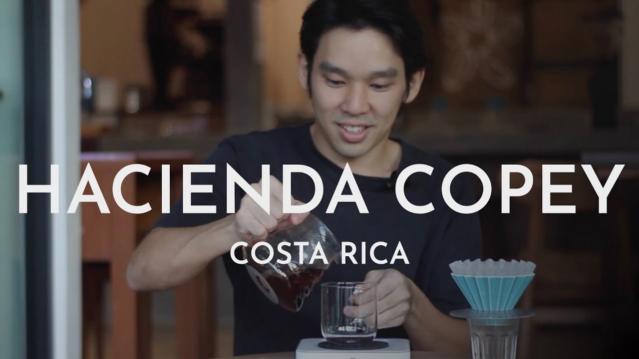 How We Brew Hacienda Copey from Costa Rica - YouTube