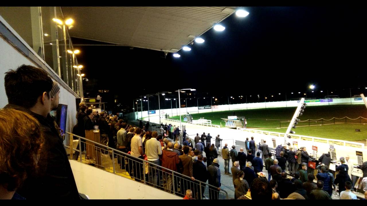 Shellbourne park Greyhound racing Dublin 01/10/16: Race 9 - YouTube
