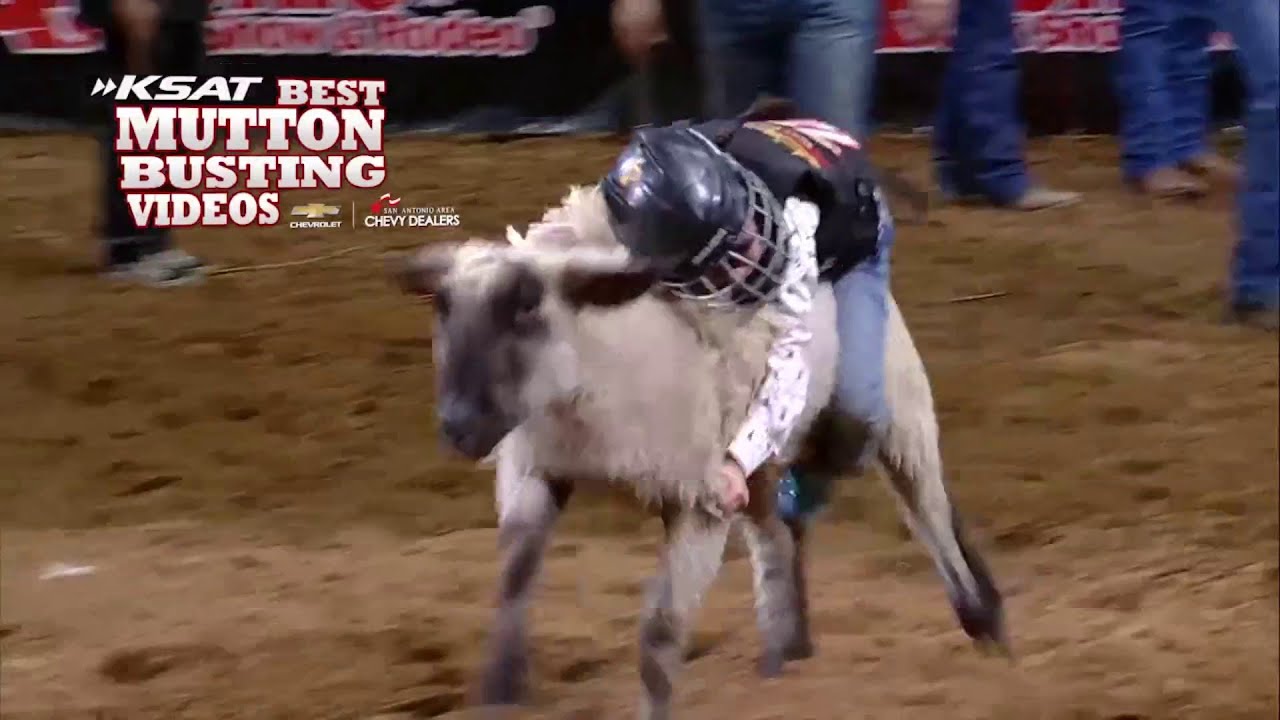 Mutton Busting fun at the San Antonio Stock Show & Rodeo - YouTube