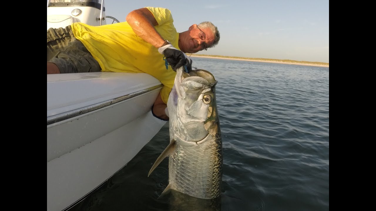 Awesome Tarpon Fishing Off St. Augustine Beach - YouTube