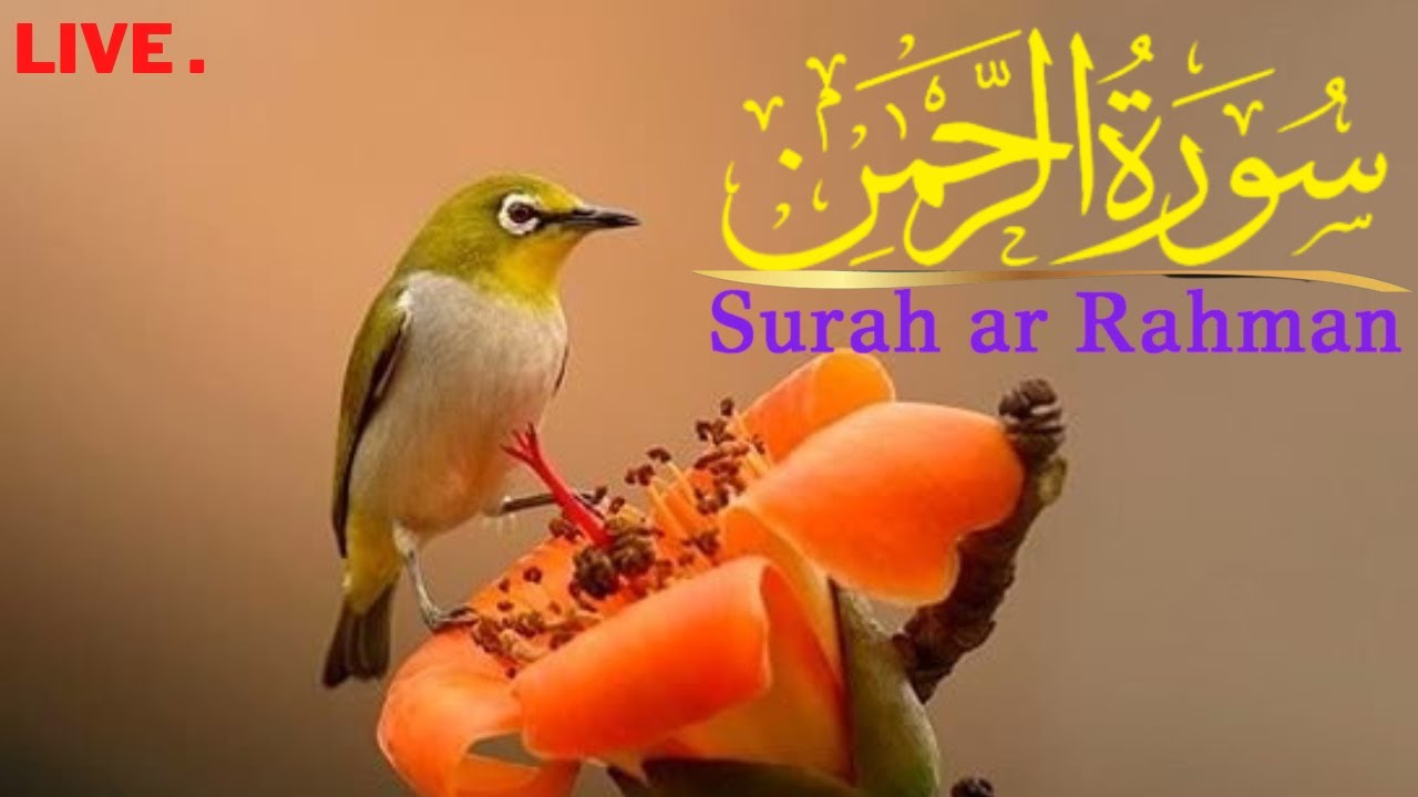Surah Ar'Rahman full (الرحمن) | INCREDIBLE & EMOTIONAL QURAN RECITATION ...
