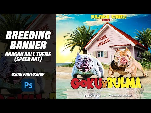 Breeding Banner | Goku X Bulma  #shorts  #bullybreed #breedingbanner #abkc  #dog  #pitbull
