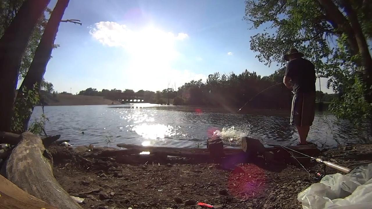 Fishing Indiana - Bowfin + a WTF Moment - YouTube