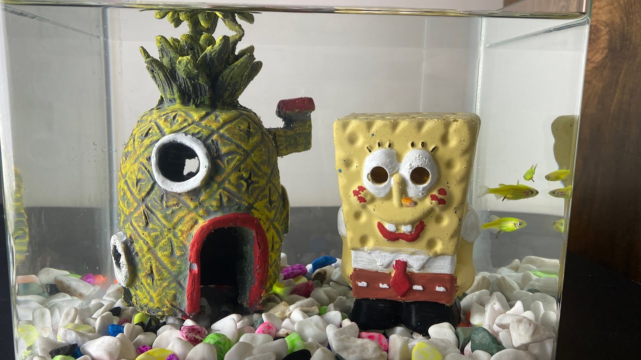 I built sponge bob house in a fish tank - YouTube