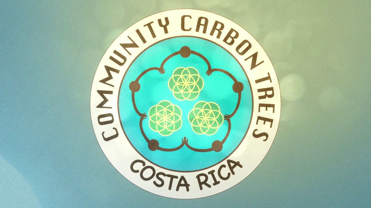 ACCT Association Community Carbon Trees - YouTube