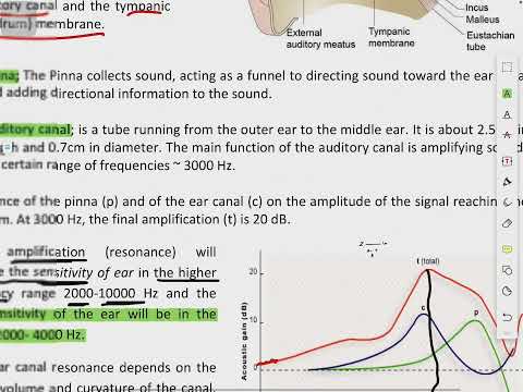 Sound in medicine P2 (الفيزياء الطبية -طب الكوفة) - YouTube