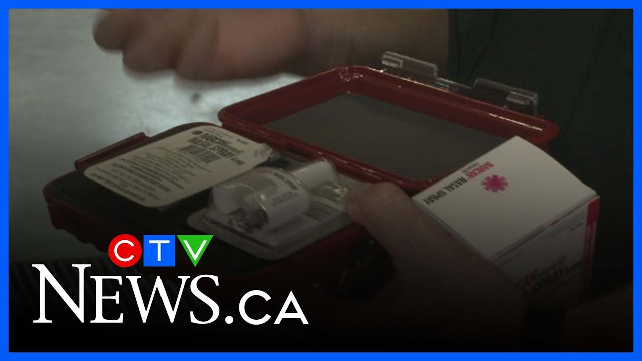 Regina issues drug alert after spike in suspected fentanyl overdoses ...