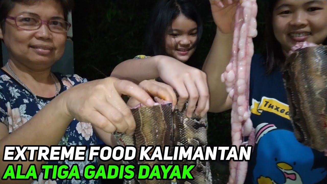EXTREME FOOD KALIMANTAN/MASAK ULAR RIPONG - YouTube