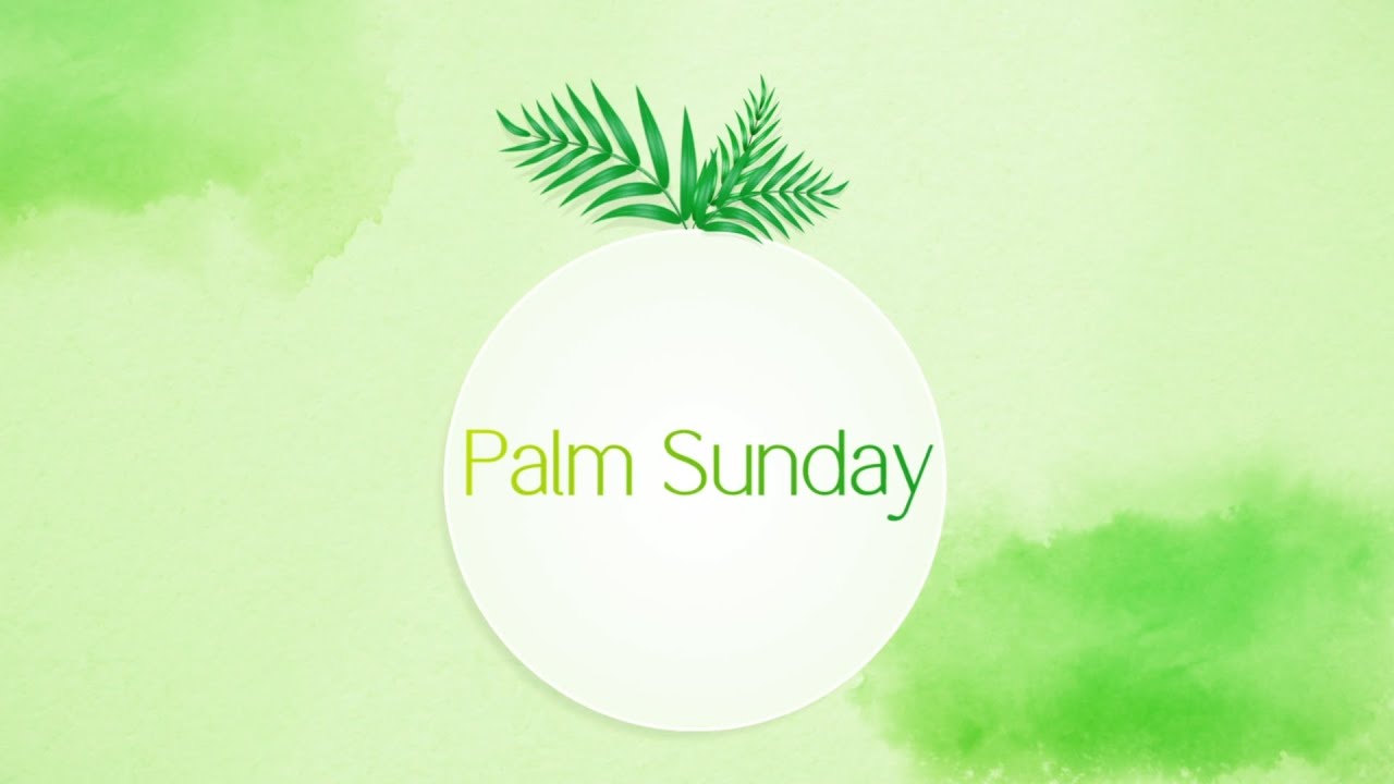 Palm Sunday Specials || Shalom World || Trailer - YouTube