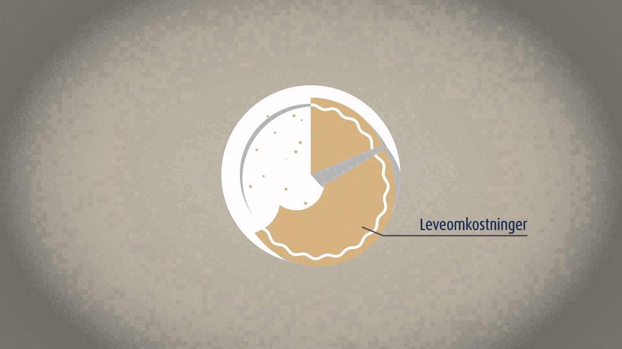 Se hvad du får udbetalt i pension på PensionsInfo.dk - YouTube