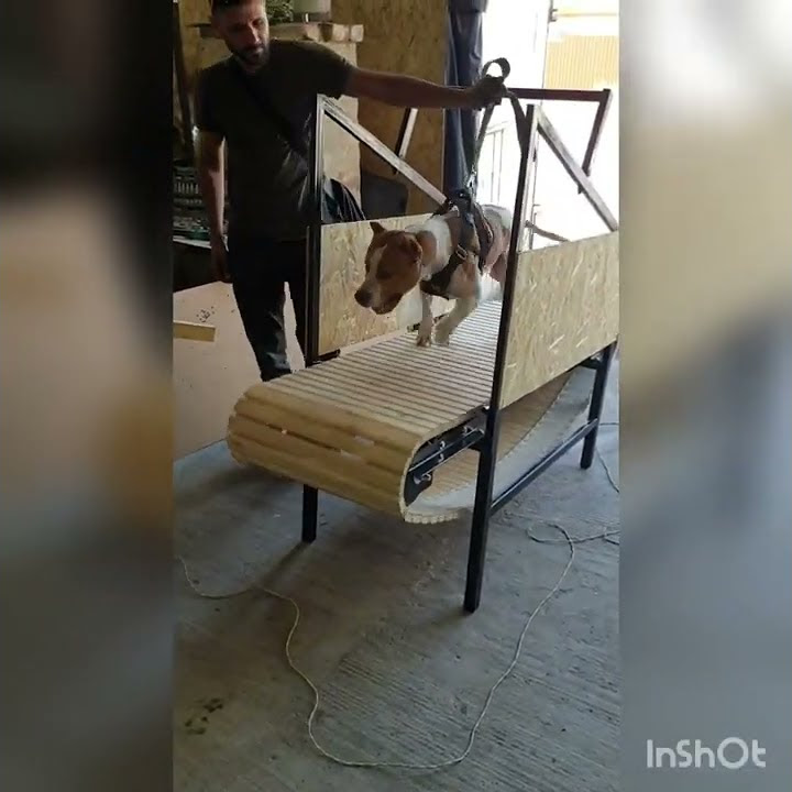 беговая дорожка для собак своими руками - YouTube