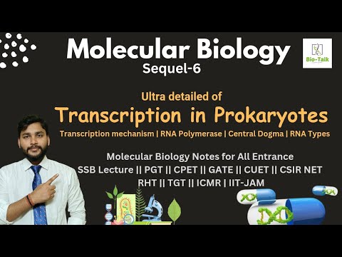 Ultra Detailed of Transcription in Prokaryotes | Prokaryotic ...