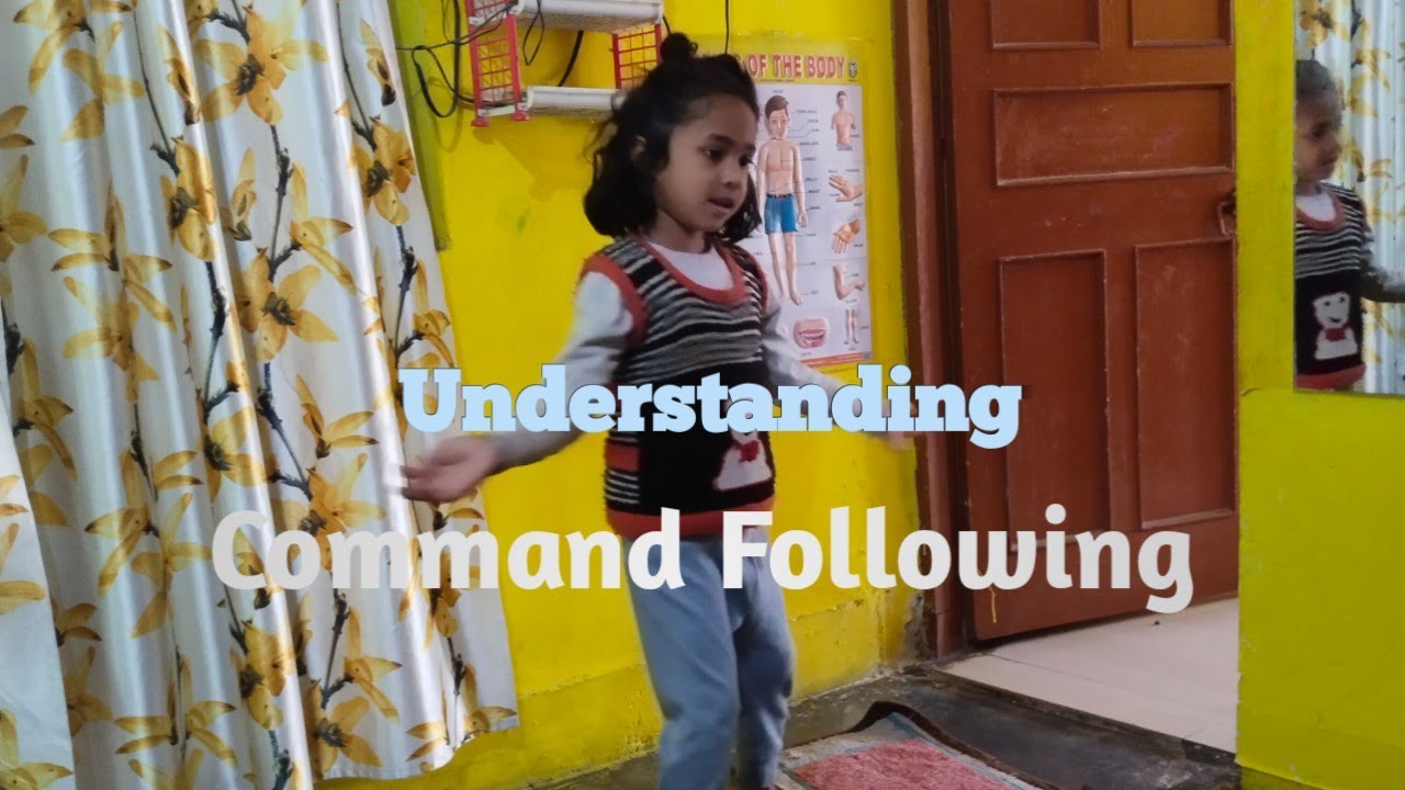 Command Following | Understanding ‎@sanviautismjourney - YouTube