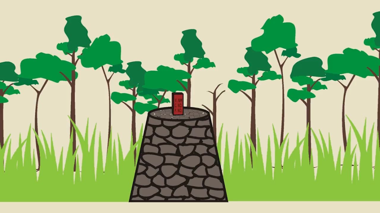 Forest Boundary Pillars Erection and Maintenance English - YouTube
