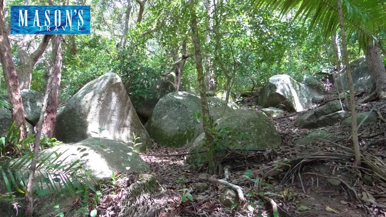 Masons reef safari & Moyenne Island - Seychelles - YouTube