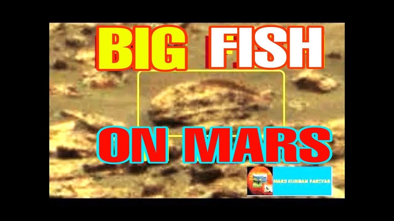 Fish on Mars (Part 1) - YouTube