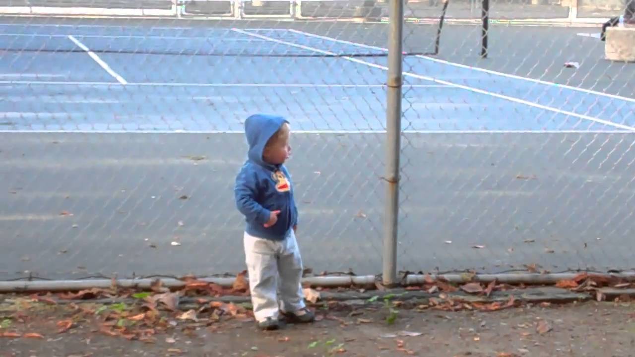 Hooded Bandit - YouTube