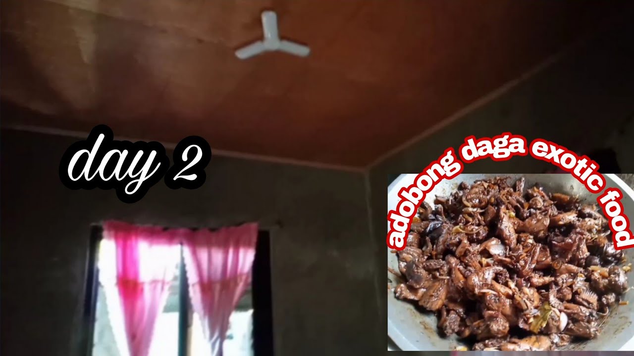 (#34) DAY 2. NG PAG,IINSTALL NG KISAME + ADOBONG DAGA EXOTIC FOOD - YouTube