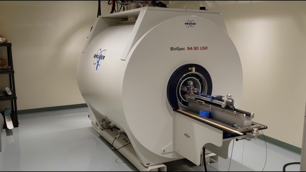 BIC 9.4 Tesla MRI scanner - YouTube