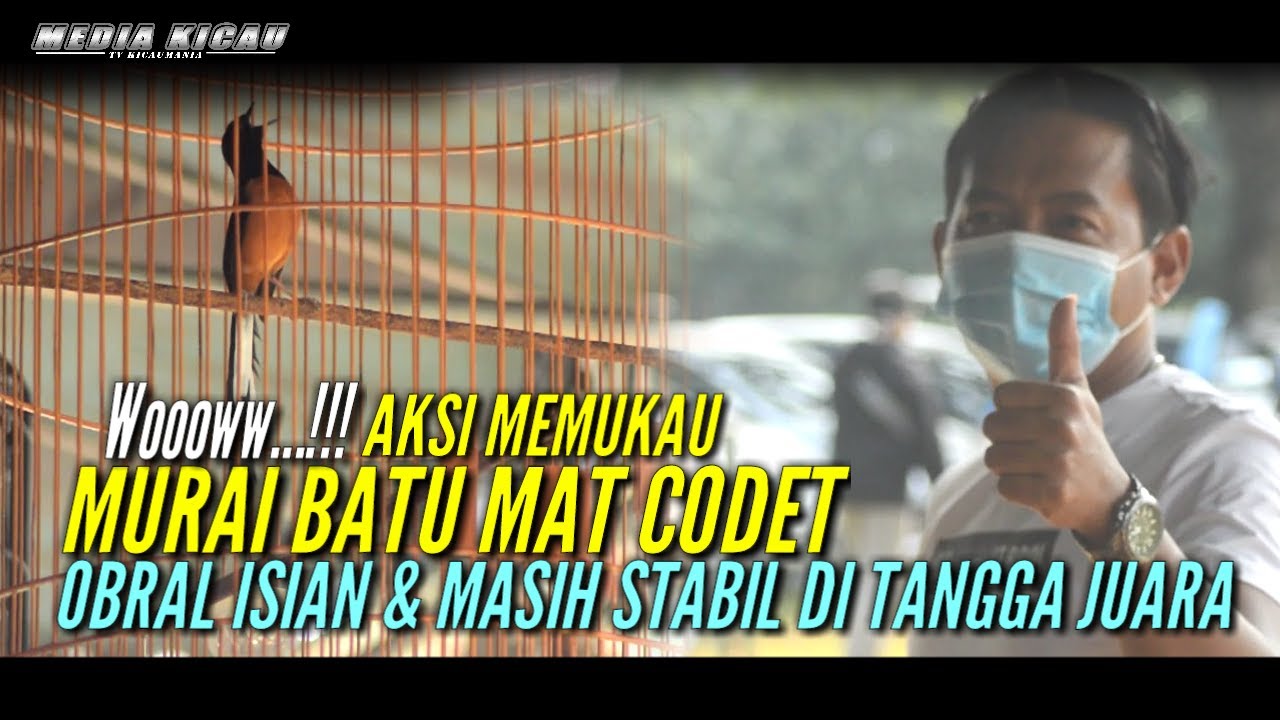 WOOOWW...!!! AKSI MEMUKAU MURAI BATU MAT CODET || OBRAL ISIAN & MASIH ...