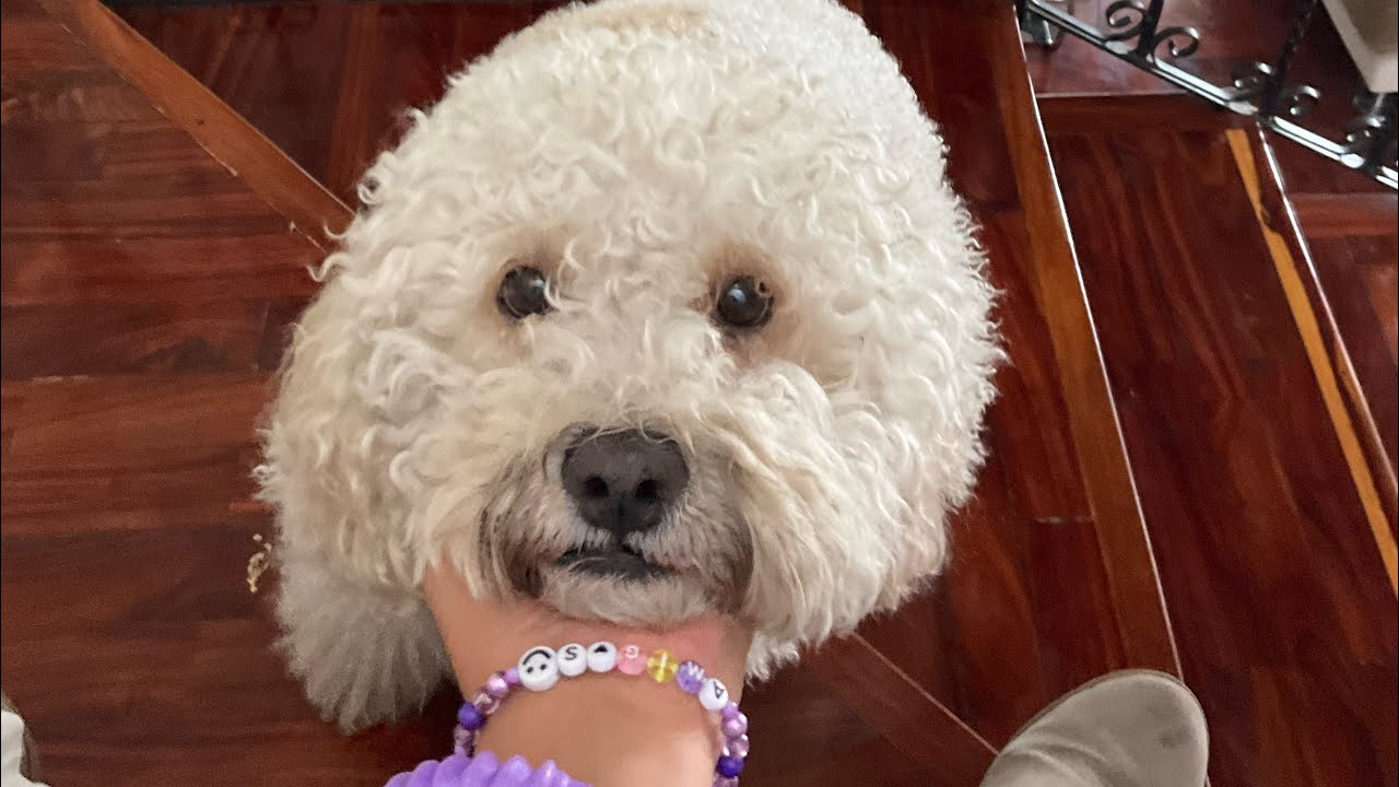 Primera parte del regalo robado 😗 - YouTube