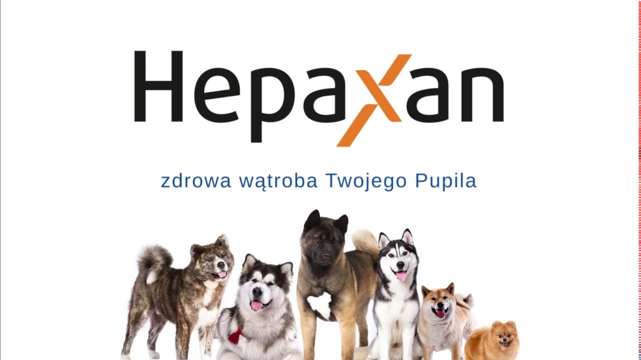 HEPAXAN osłona i regeneracja wątroby. - YouTube