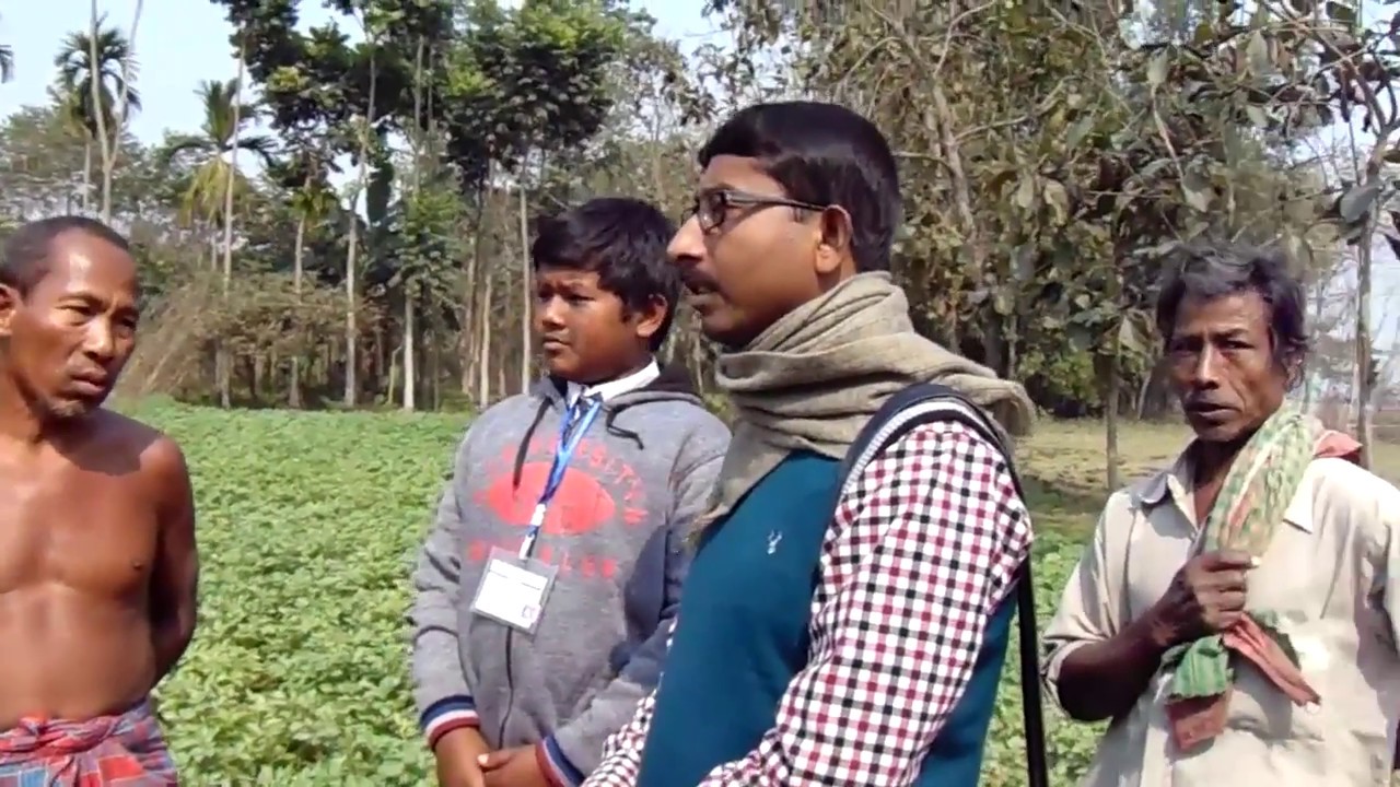 Twinning of Schools programme - YouTube